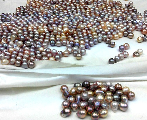 Day One - Every Pearl a Metallic Pearl - Pearlescence