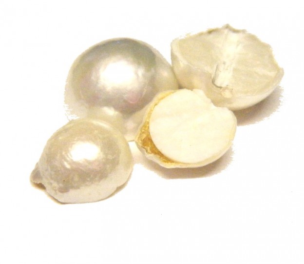 Nacre depth on bead nucleated freshwater pearls - Pearlescence