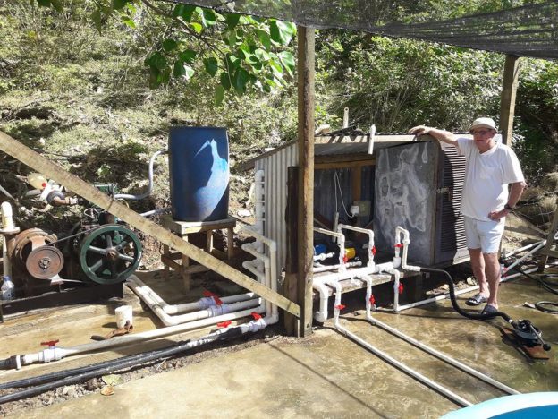 Baby giant clams at Civa Fiji - Pearlescence